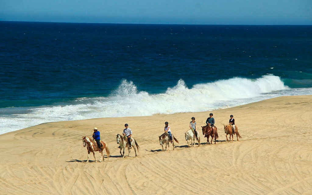 Montar a Caballo en la Playa (Principiante o Novato) 2.5 Hrs | CalypsoTrip
