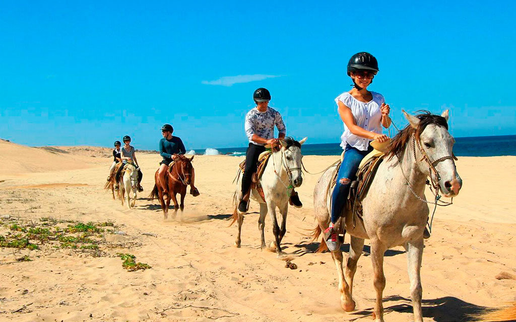 Montar a Caballo en la Playa (Principiante o Novato) 2.5 Hrs | CalypsoTrip